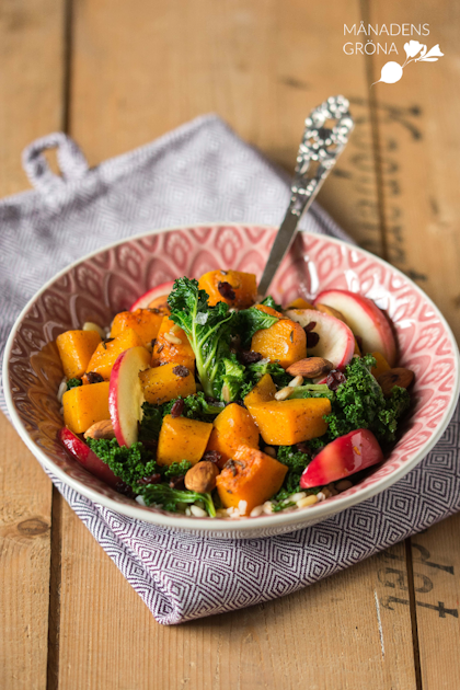 Sallad med rostad pumpa, grönkål och äpple