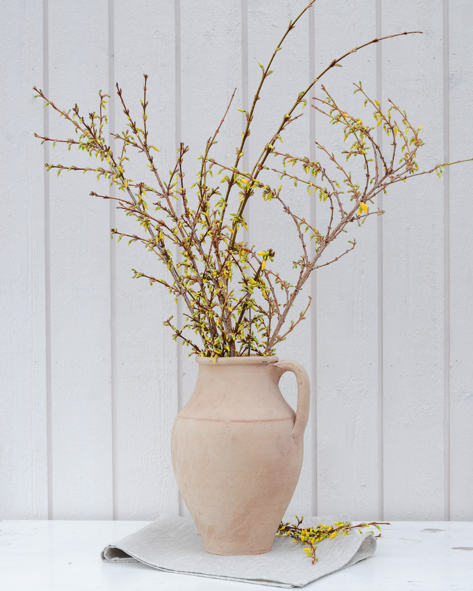 Driva kvistar i blom