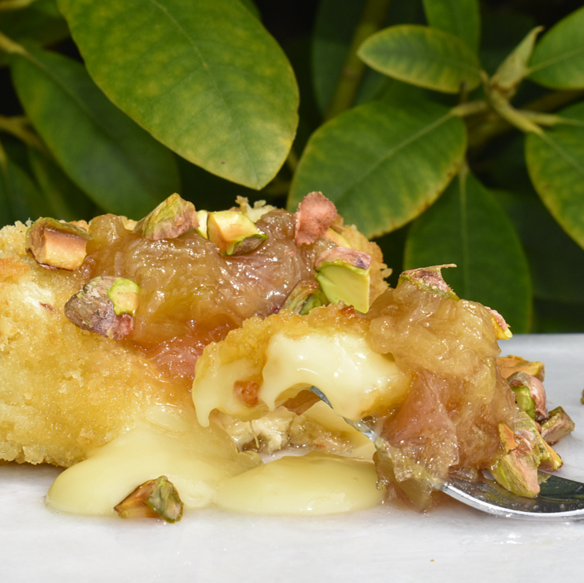 Friterad camembert med rabarber och pistagenötter | Hannas bageri