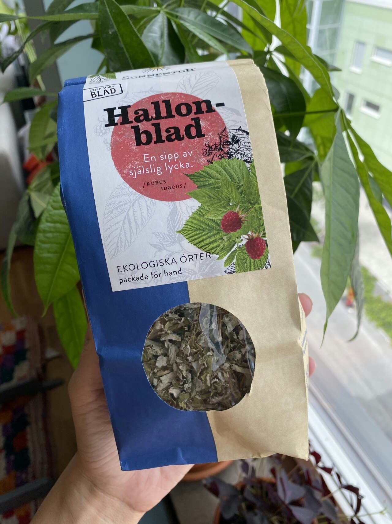 Varför jag köpt hallonbladste, dadlar, nattljusolja och kokosolja ...