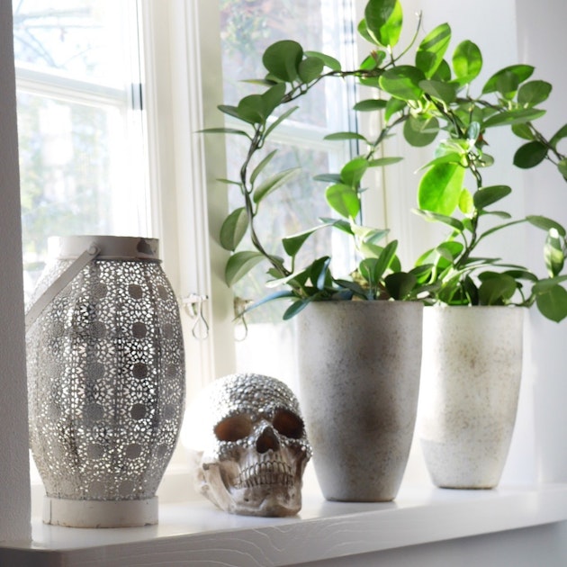 Ikea och platta paket :) | My Martens blogg