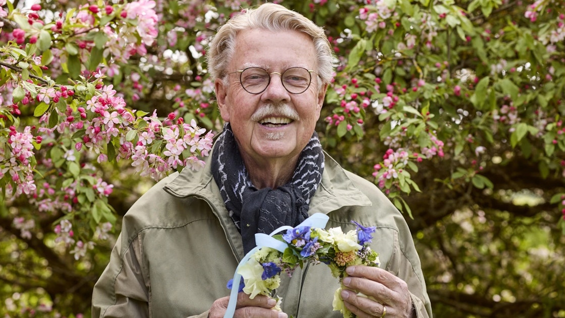 Andraklasspassagerarens sista sång | Malin Wollins blogg