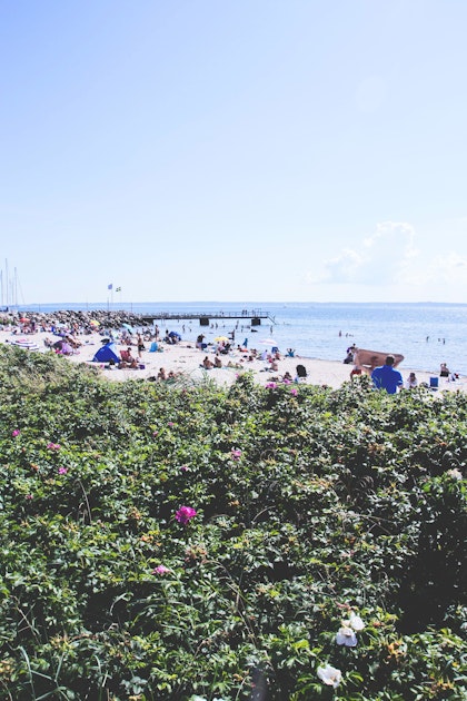 Domsten strand, minnen och sommarens renässans | Christin Clausen ...