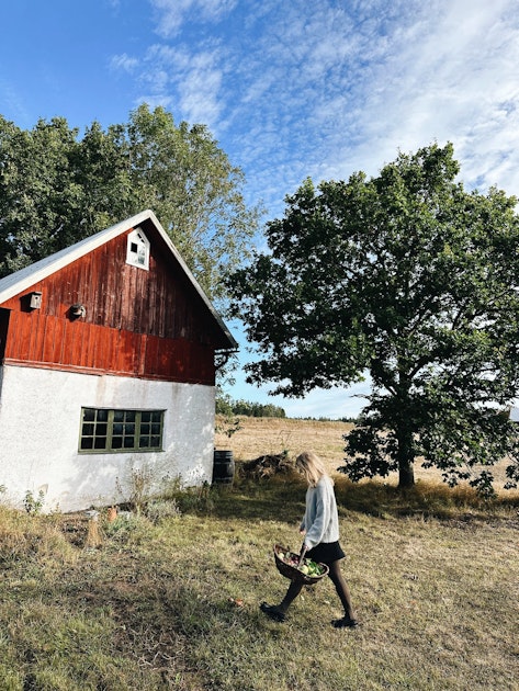 Lite som ett gammalt hus | Elsa Billgrens blogg